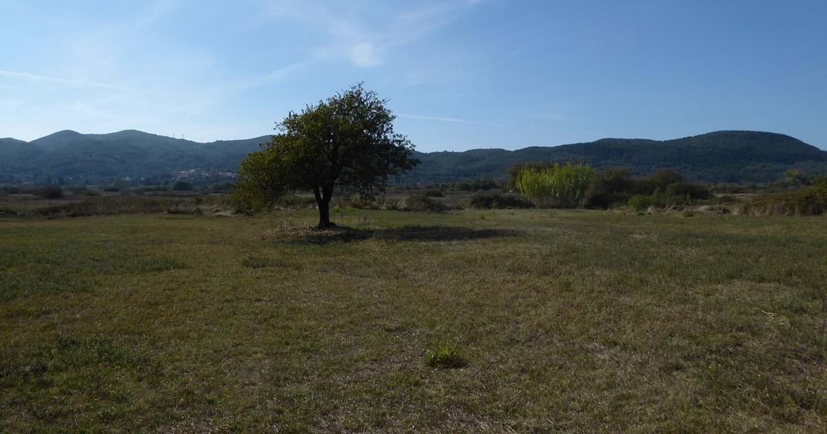 SUNNY LAND, Ropa Valley