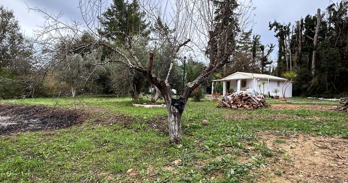 SPIGGELI HOUSES, Afra, Corfu